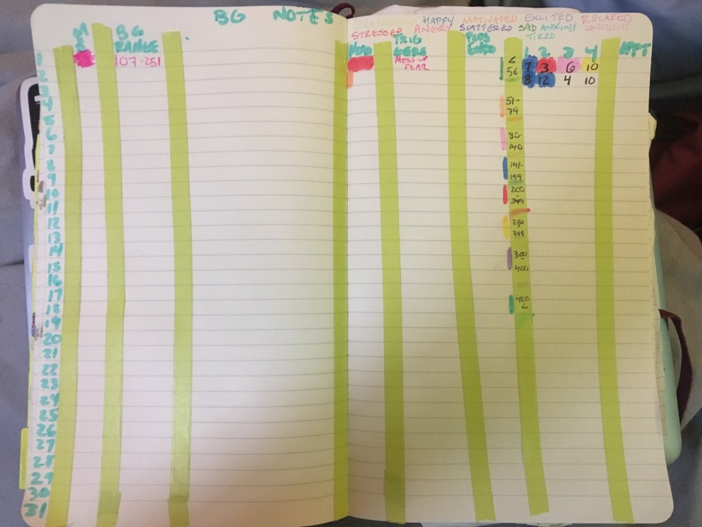 Bullet Journal (BuJo) for Chronic Illness | There's More to the Story ...